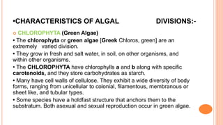 Algae (classifications) & Algal Blooms | PPT