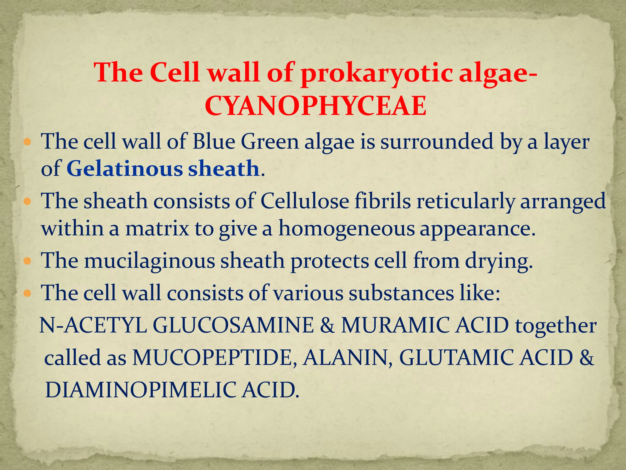 ALGAE General.pdf bsc first year by women's college | PDF