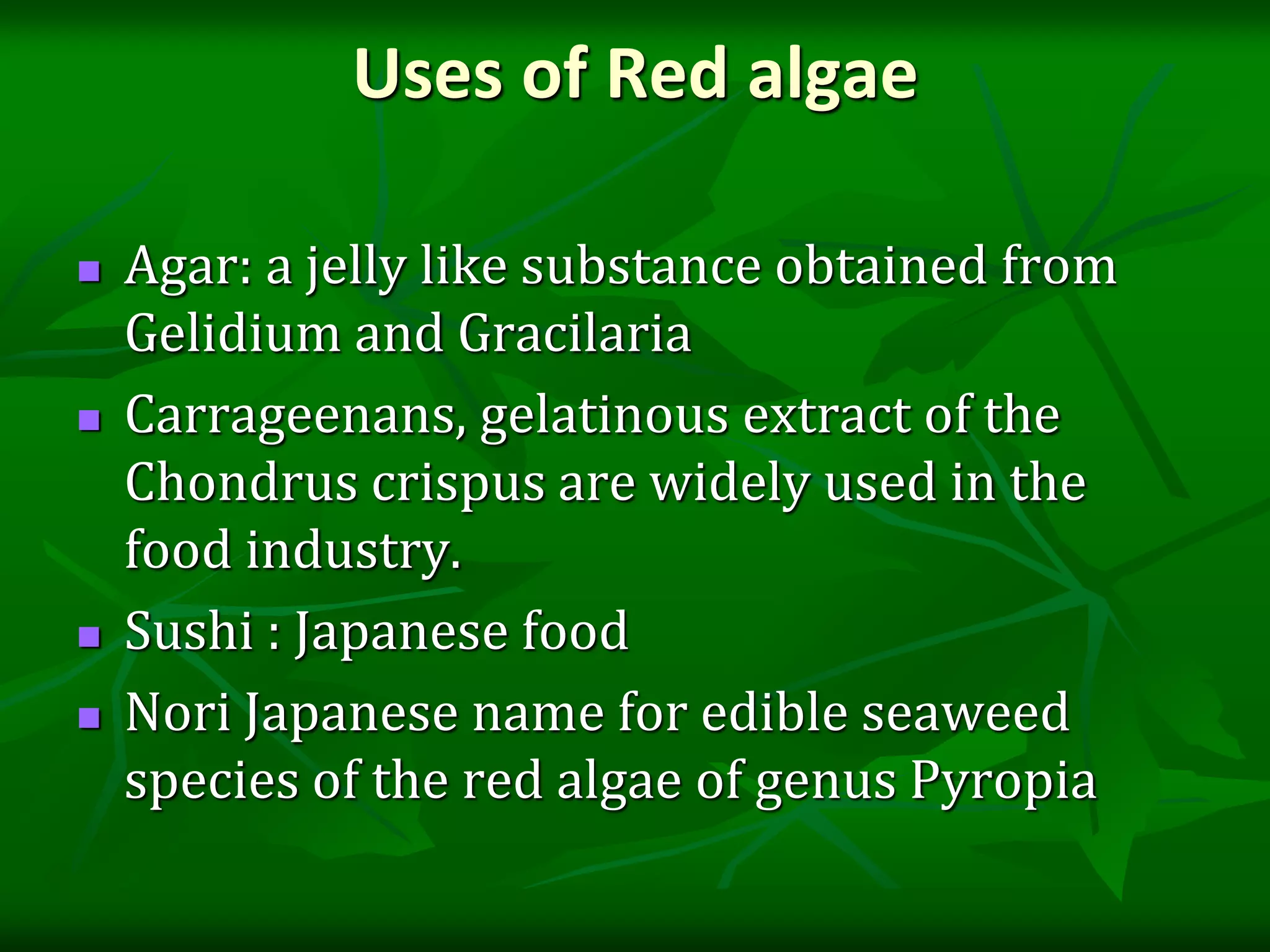 Algae general characters and classification | PPTX