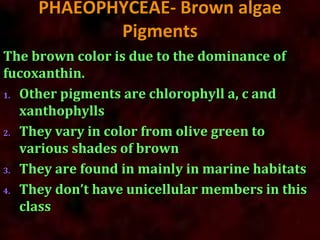 Algae general characters and classification | PPTX