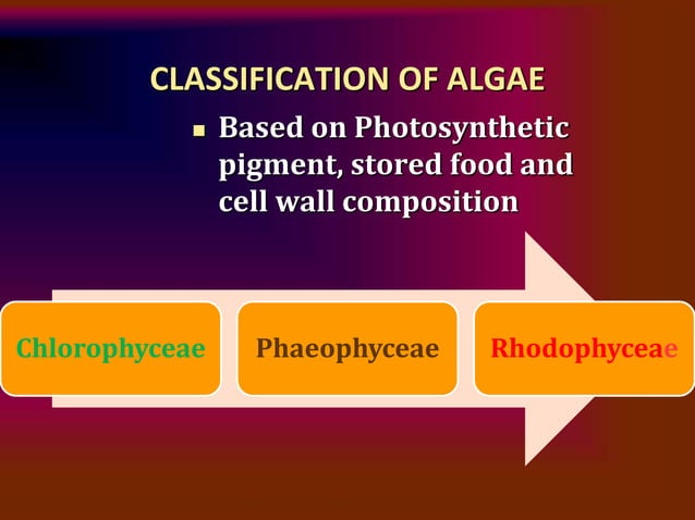 Algae General Characters And Classification