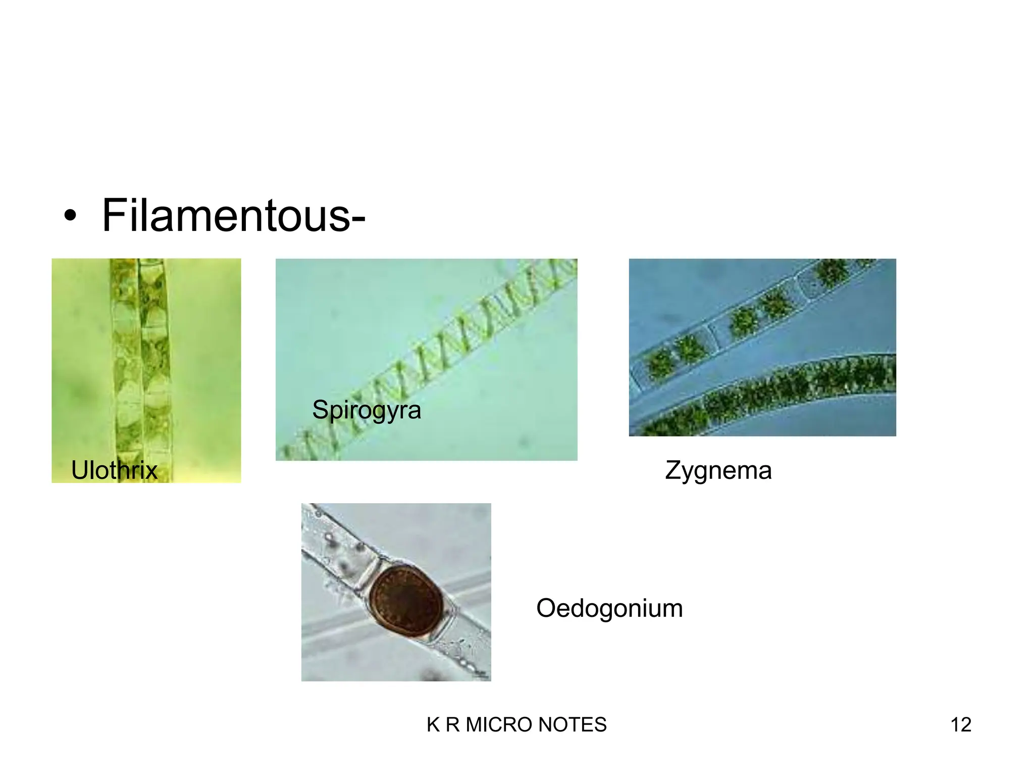 algae general features Habit and habitat | PPT