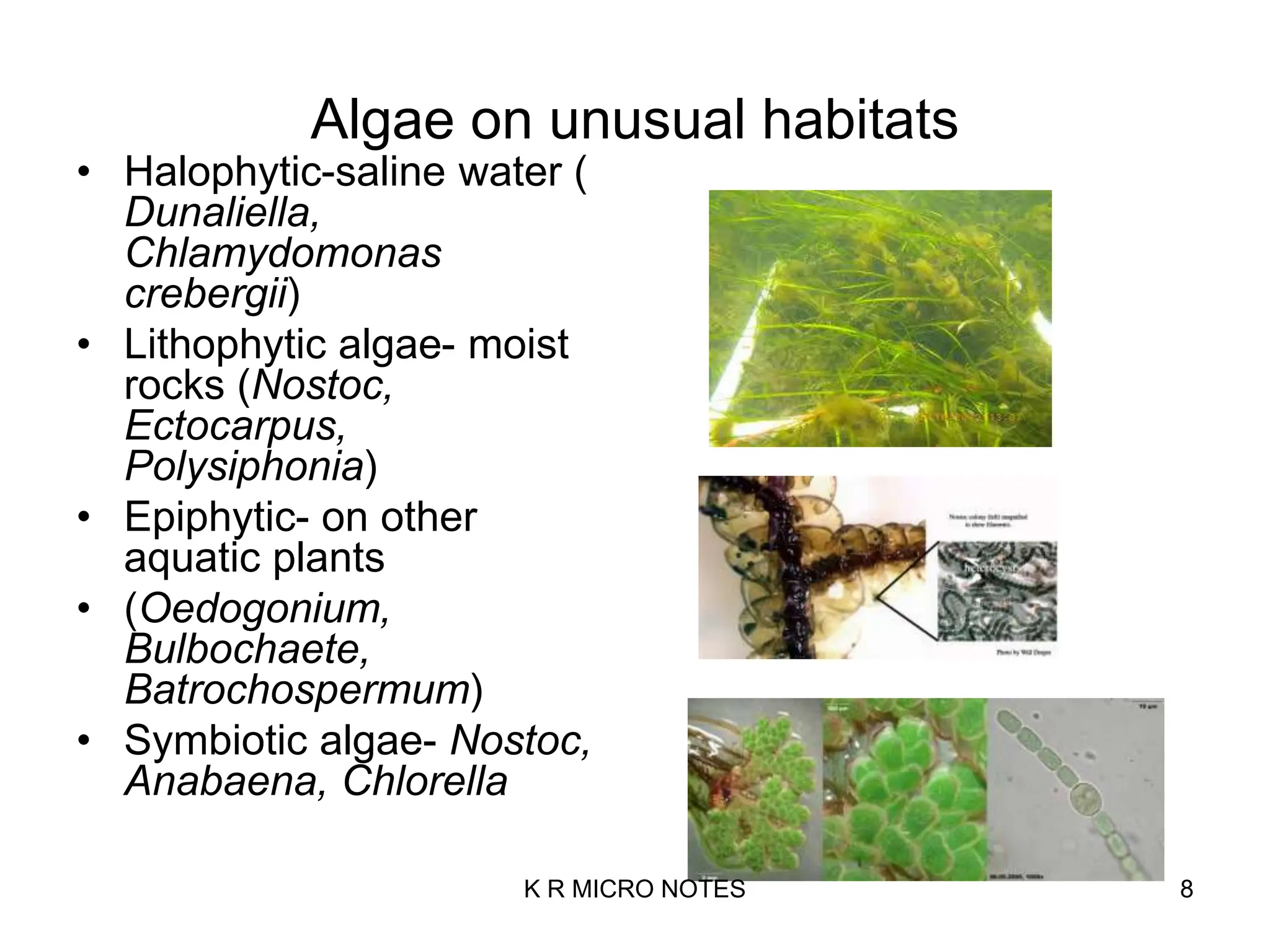 algae general features Habit and habitat | PPT