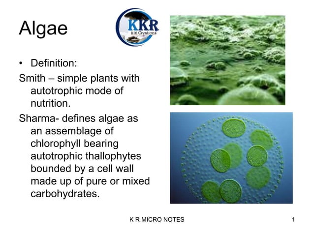 algae general features Habit and habitat | PPT | Biological Sciences ...