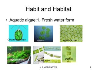 algae general features Habit and habitat | PPT