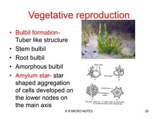 algae general features Habit and habitat | PPT