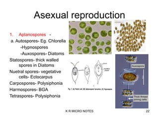 algae general features Habit and habitat | PPT