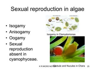 algae general features Habit and habitat | PPT | Biological Sciences ...