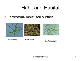 algae general features Habit and habitat | PPT