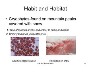 algae general features Habit and habitat | PPT