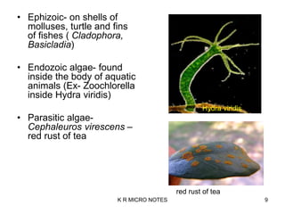 algae general features Habit and habitat | PPT