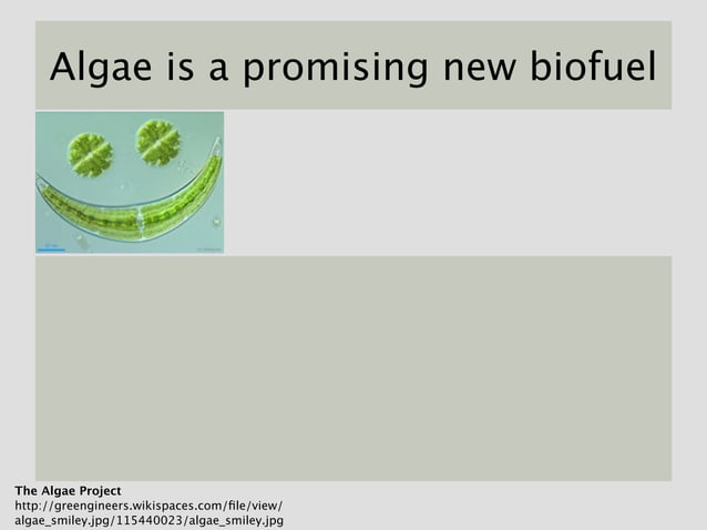 Algae generation for biofuel using an enclosed system | KEY