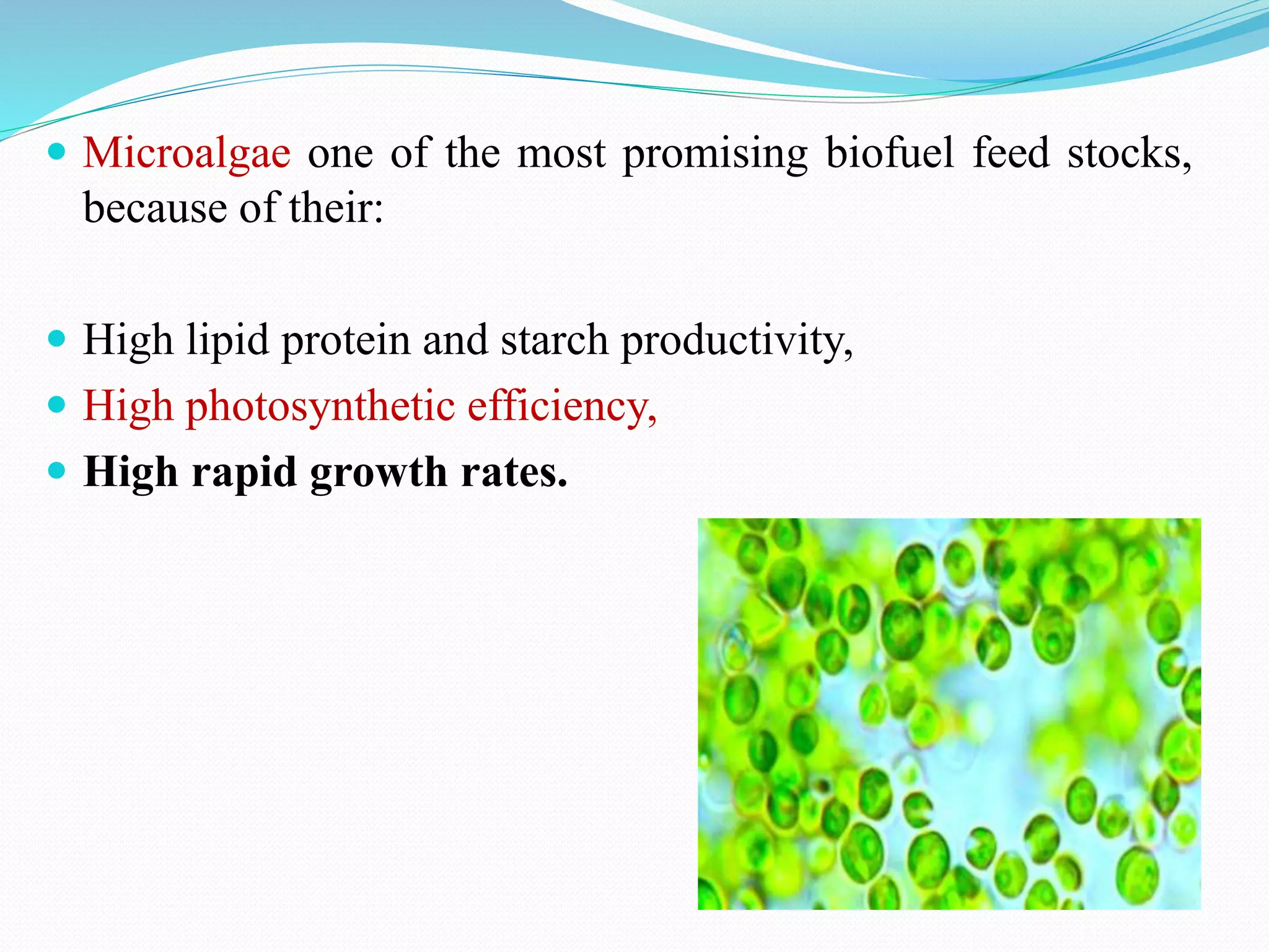 Symbiotic Algae Measurement Of Algal Growth Algal Strain Selection