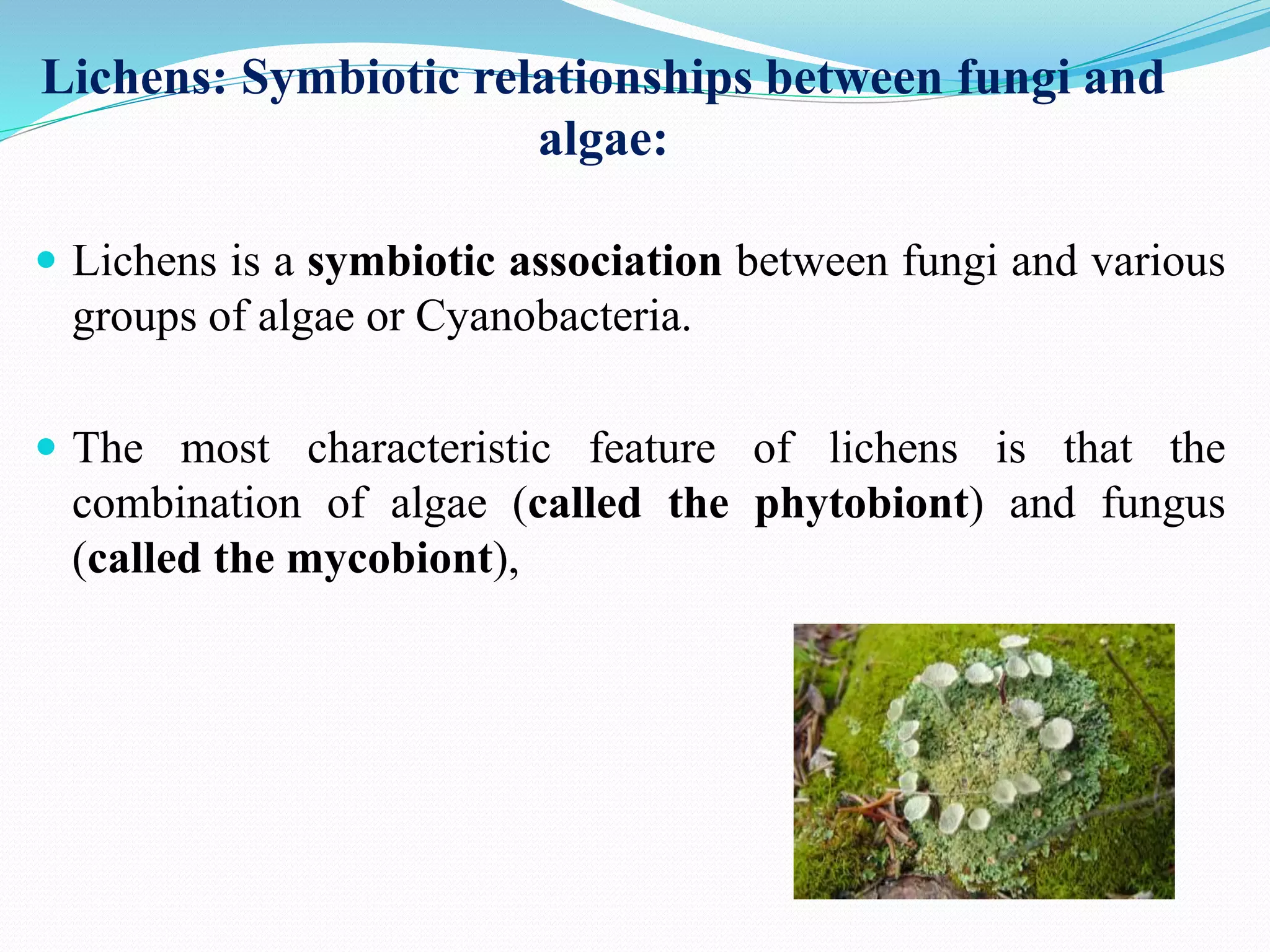 Symbiotic algae, Measurement of algal growth, Algal strain selection ...
