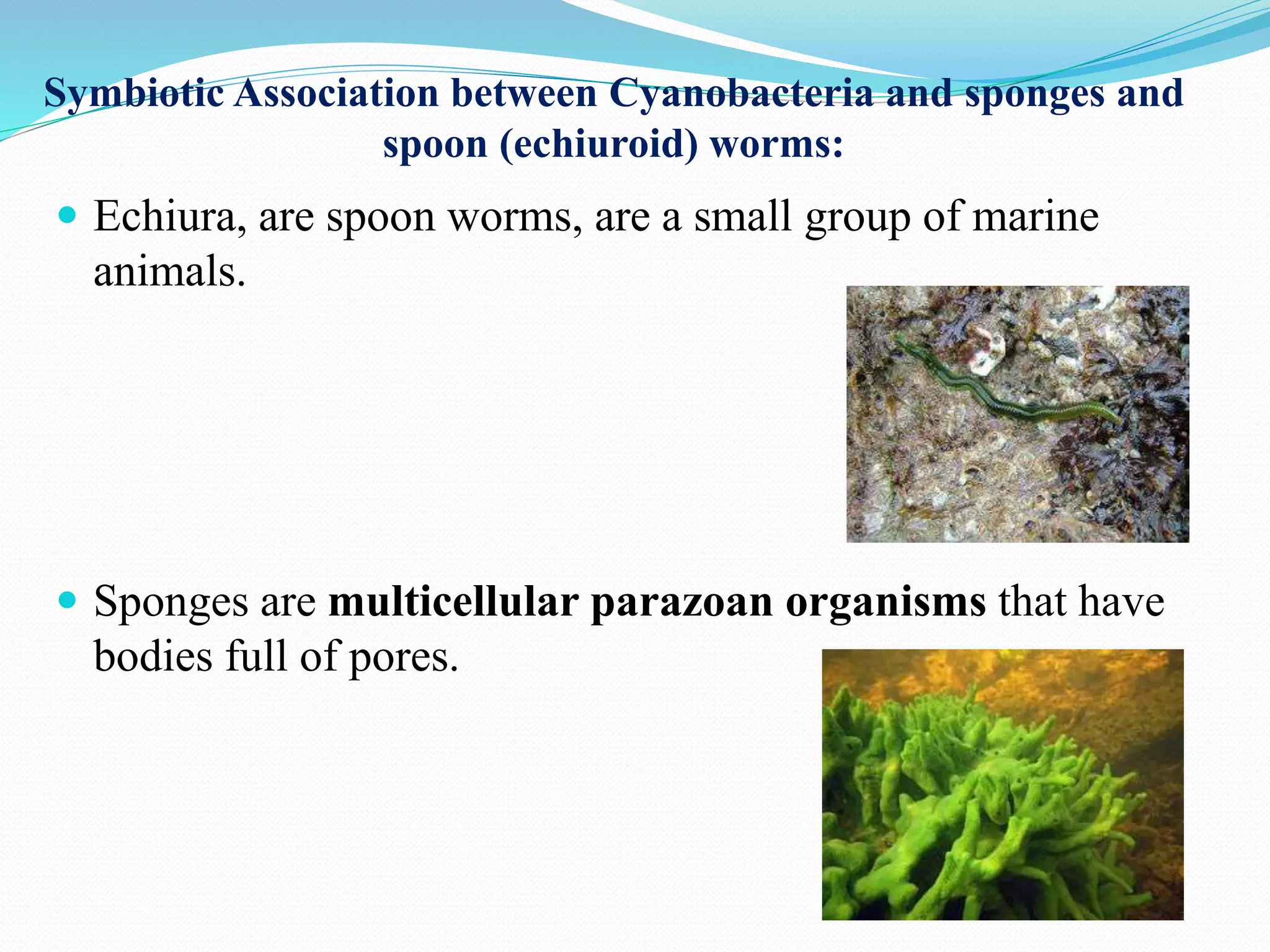 Symbiotic algae, Measurement of algal growth, Algal strain selection ...