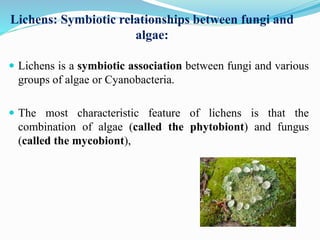 Symbiotic algae, Measurement of algal growth, Algal strain selection, Cultivation of algae ...
