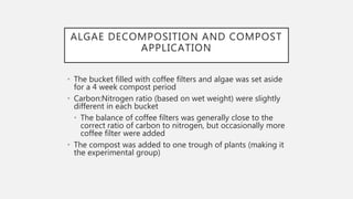 Algae growth and long term storage | PPT