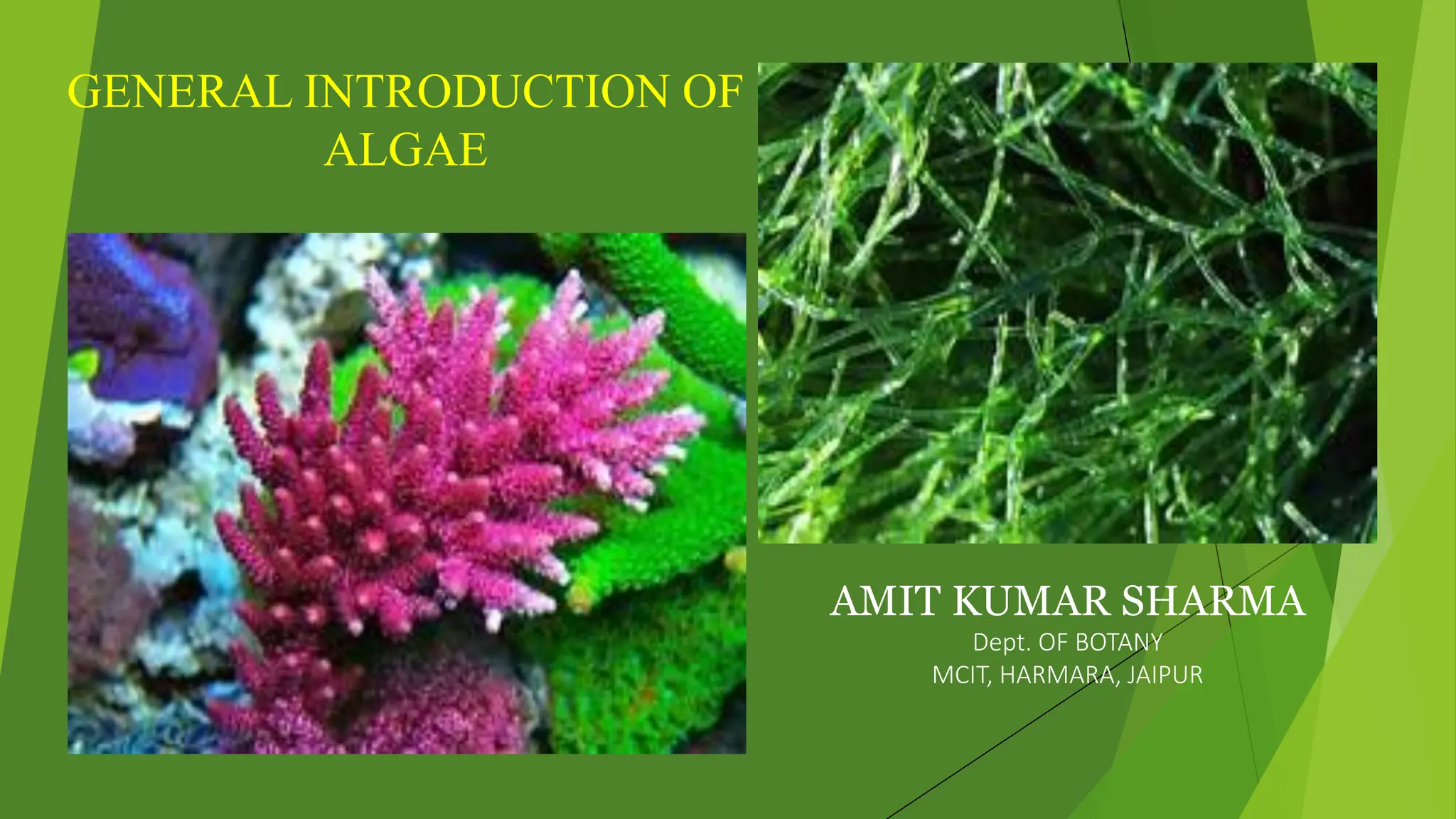Algae Range of Habitats and occurrence.pdf