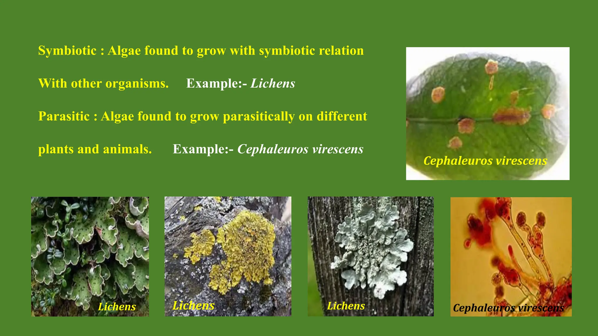 Algae Range of Habitats and occurrence.pdf