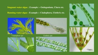 Algae Range of Habitats and occurrence.pdf