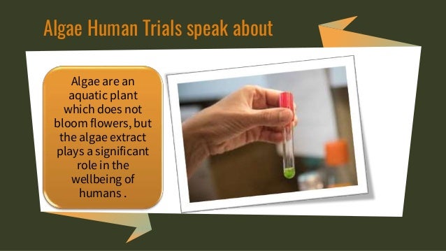 Algae Human Trials | A Study to Investigate the Effect Algae On Human Body