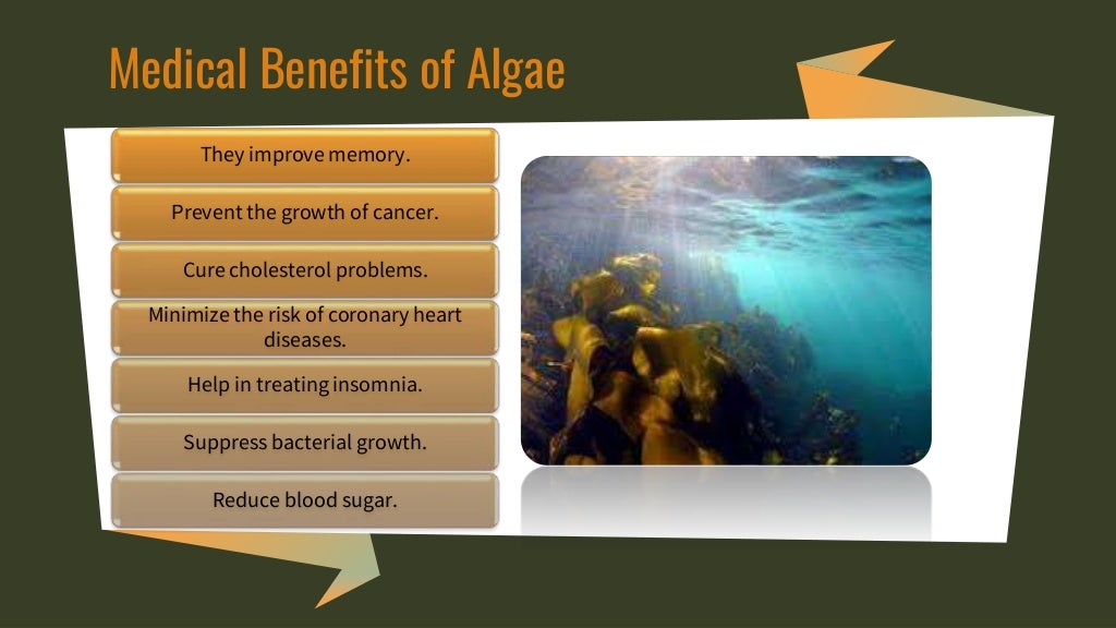 Algae Human Trials | A Study to Investigate the Effect Algae On Human Body