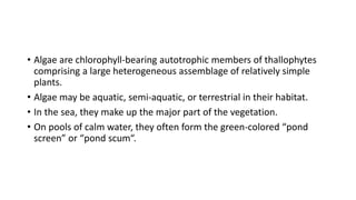 Algae in Diversified Habitats for M.Sc pptx | PPTX