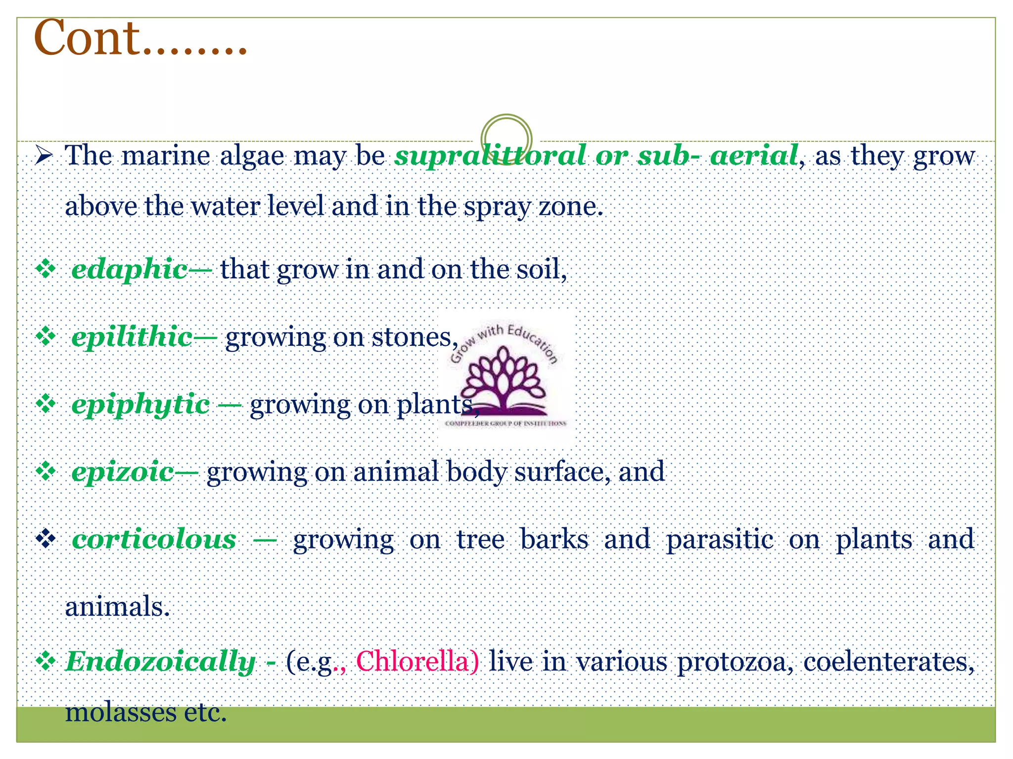 Algae introduction | PPTX