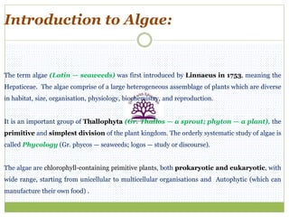 Algae introduction | PPT