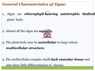 Algae introduction | PPT