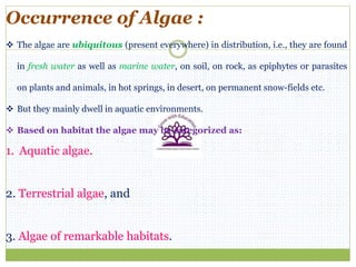 Algae introduction | PPT