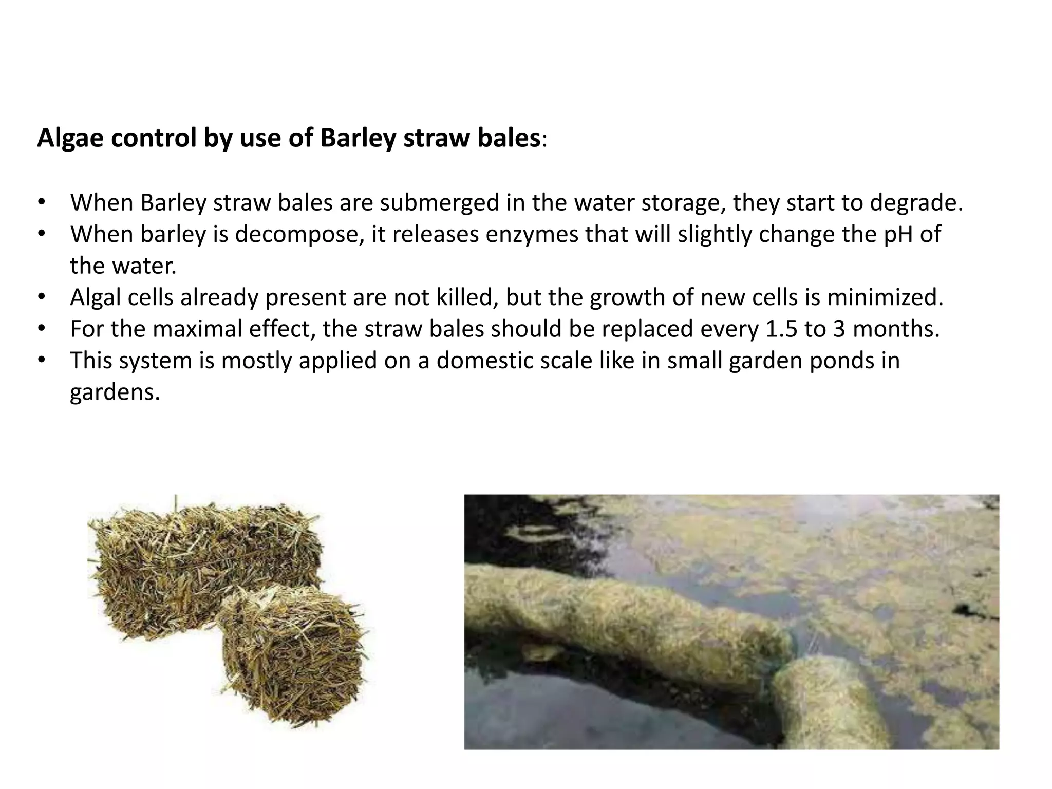 Problems and Control of Algae in water supply | PPTX