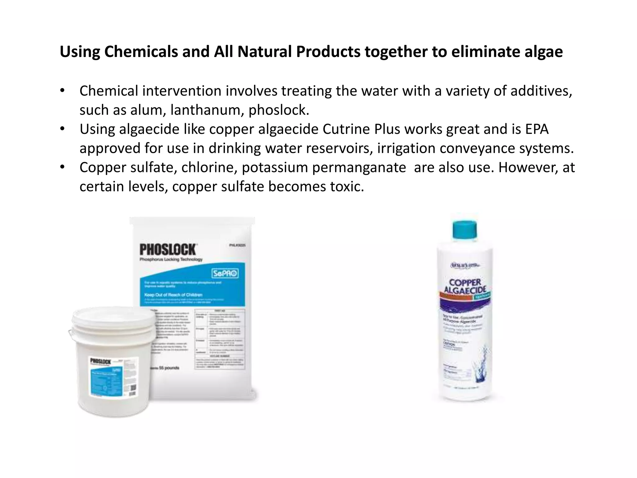Problems and Control of Algae in water supply | PPTX
