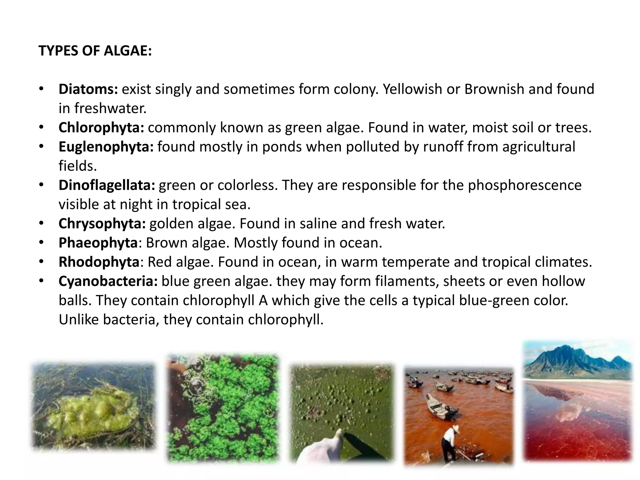 Problems and Control of Algae in water supply | PPTX