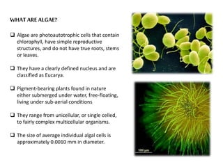 Problems and Control of Algae in water supply | PPTX