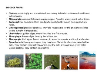 Problems and Control of Algae in water supply | PPTX