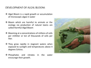 Problems and Control of Algae in water supply | PPTX
