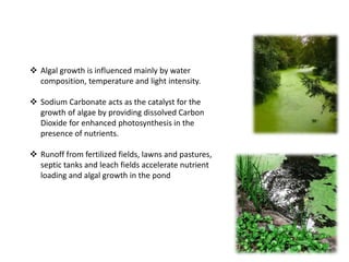 Problems and Control of Algae in water supply | PPTX