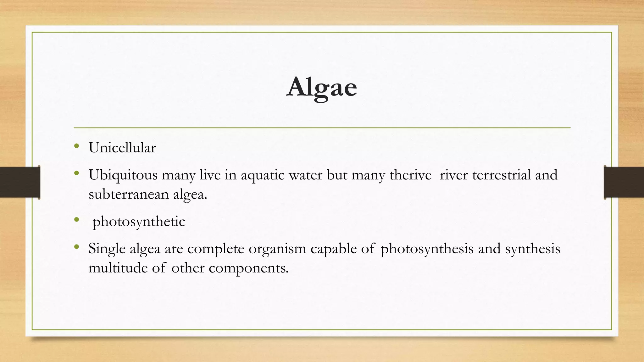 Characteristics of algea and lichens and their ecological importance ...