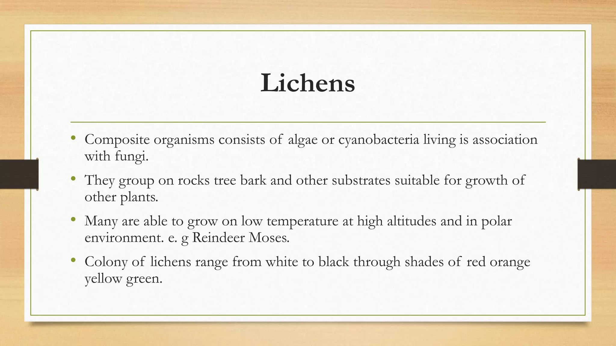 Characteristics of algea and lichens and their ecological importance | PDF