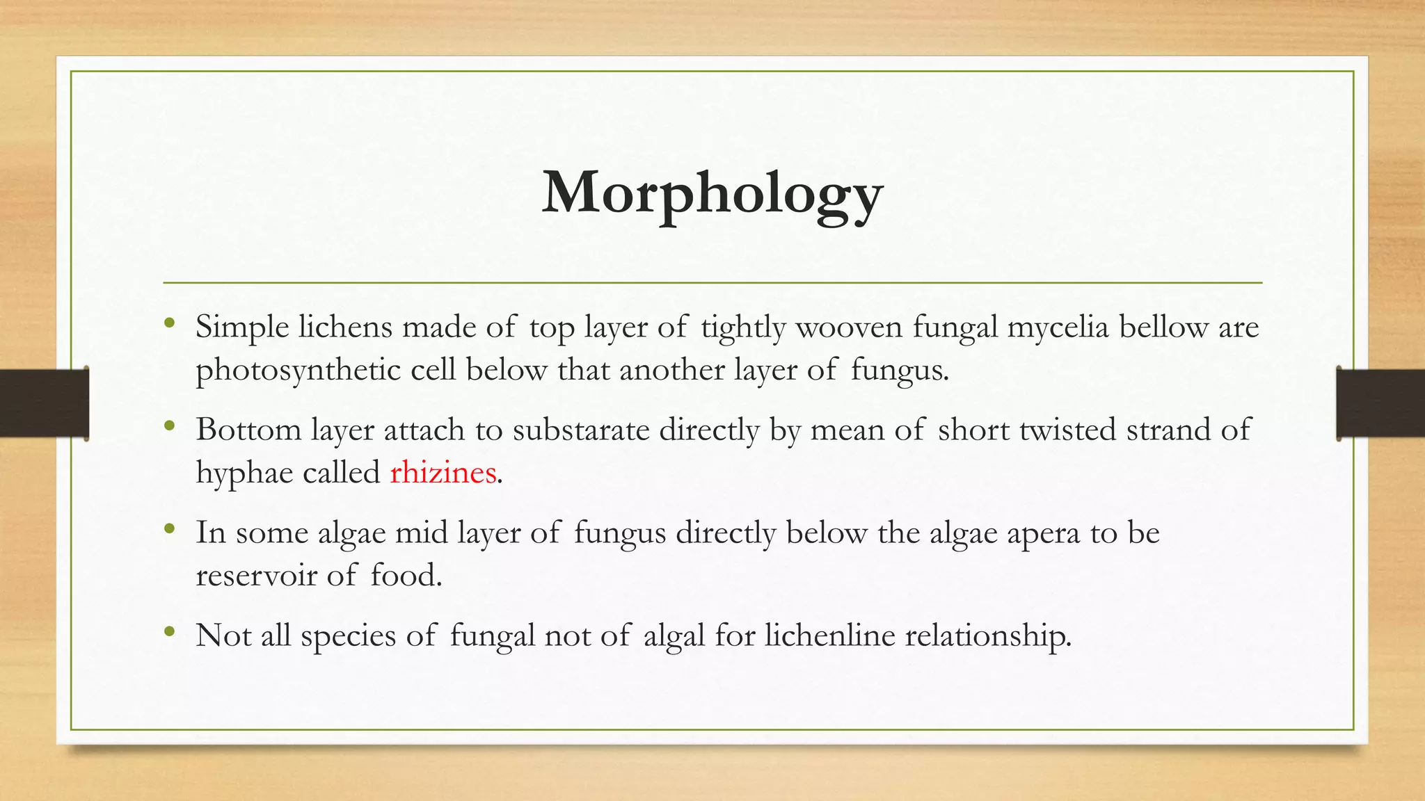 Characteristics of algea and lichens and their ecological importance | PDF