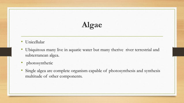 Characteristics of algea and lichens and their ecological importance ...