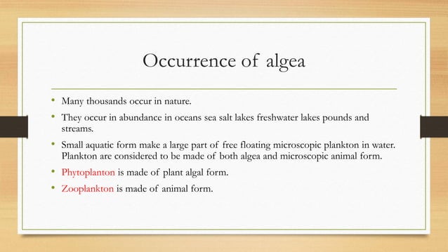 Characteristics of algea and lichens and their ecological importance ...