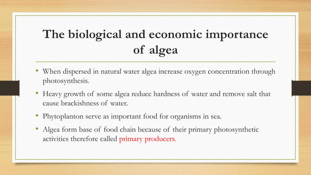 Characteristics of algea and lichens and their ecological importance ...