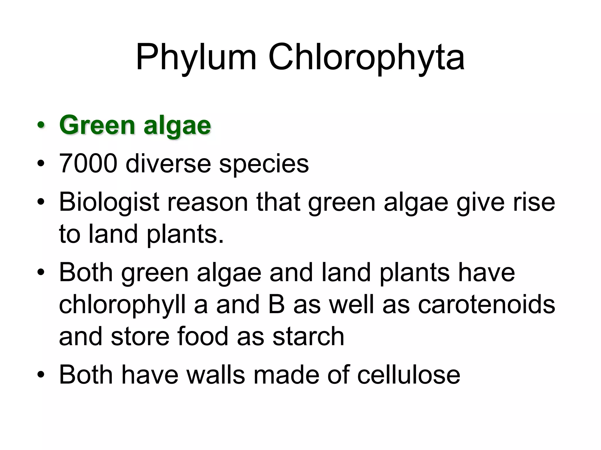 Algae aka Kingdom Thallophyta! | PPT