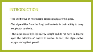 Algae its type and more (Micro-organism).pptx