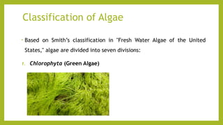 Algae its type and more (Micro-organism).pptx