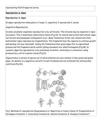 Algae notes (1) | PDF