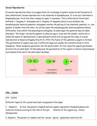 Algae notes (1) | PDF