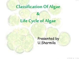 Classification of Algae | PPTX